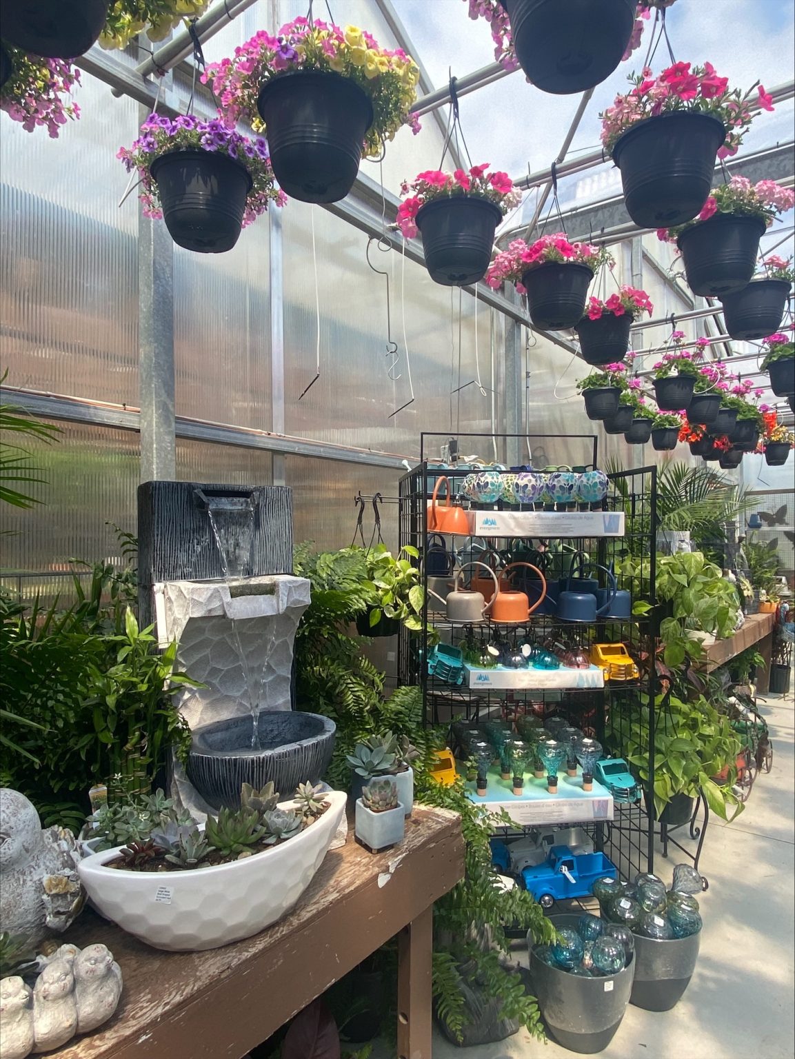 Cindy'S Home & Garden