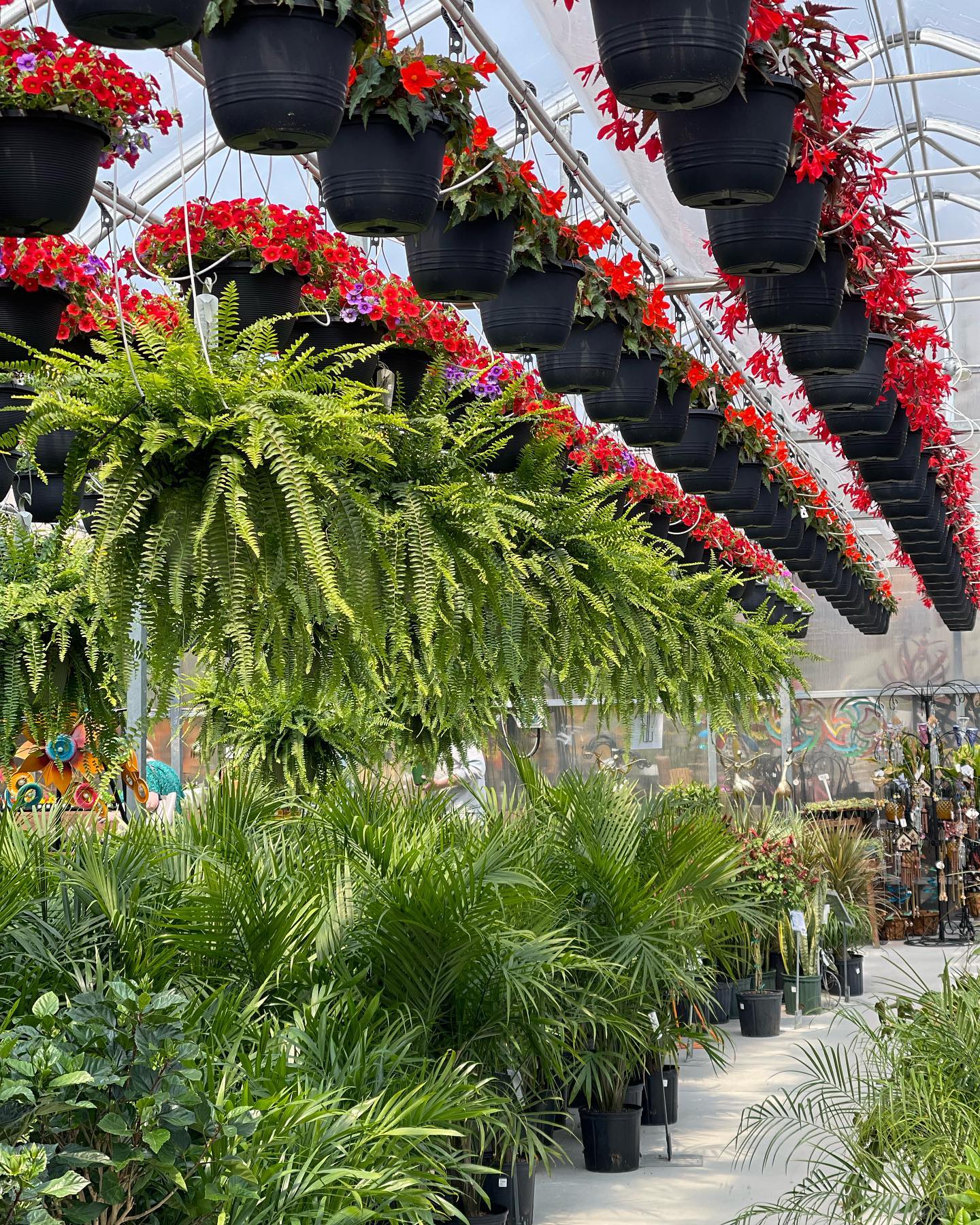 Cindy's Garden – Experience The Destination